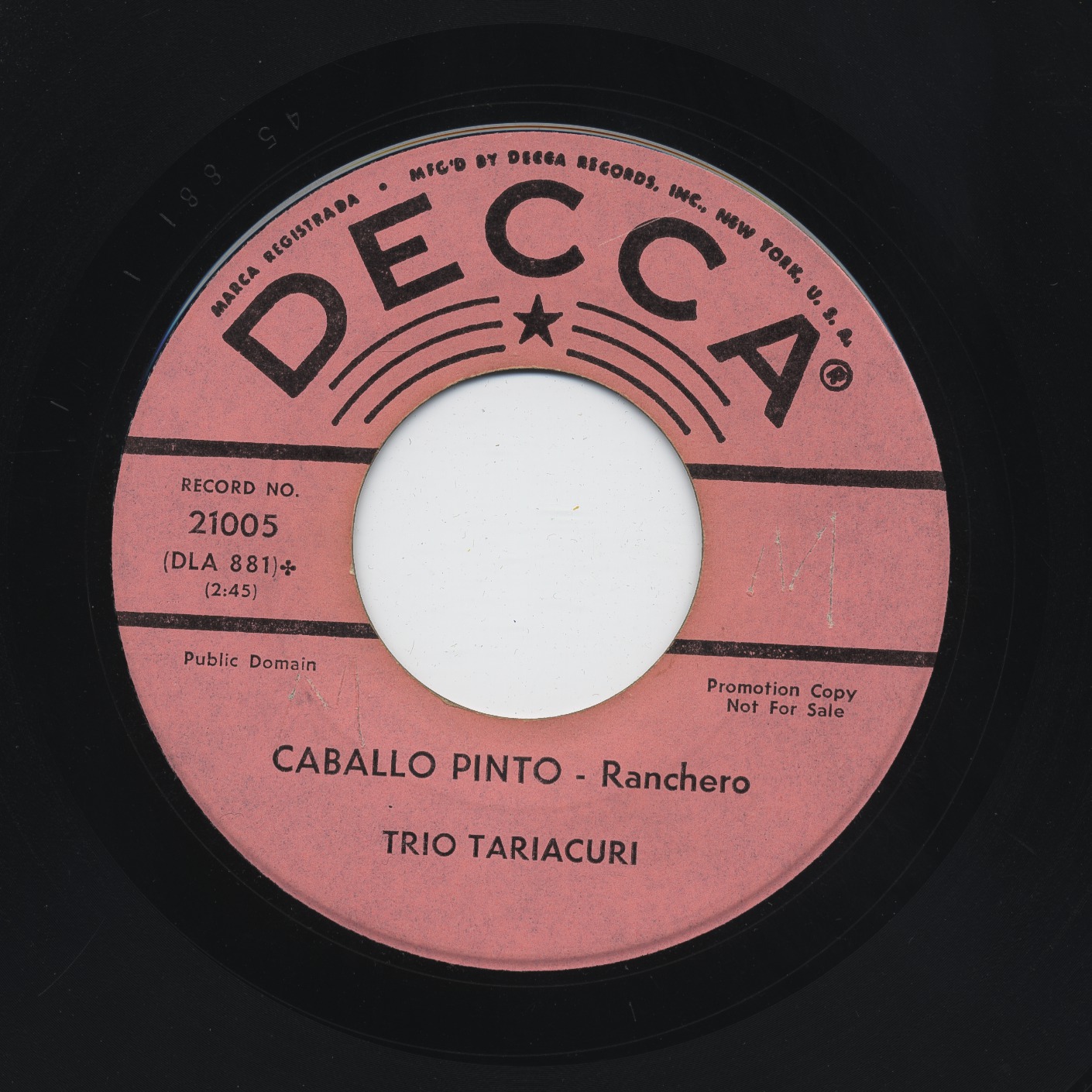 Caballo Pinto | Strachwitz Frontera Collection